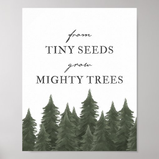 From Tiny Seeds Grow Mighty Trees Woodland Nursery Poster | Zazzle
