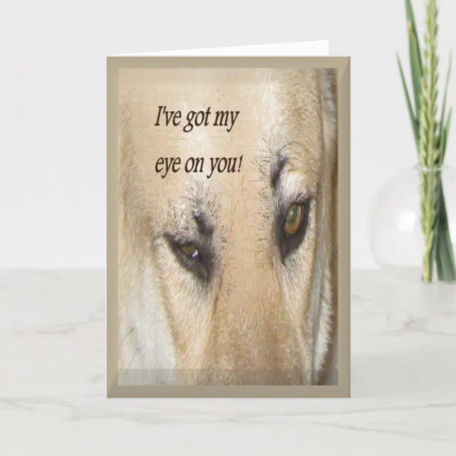 From your Secret Pal Card | Zazzle