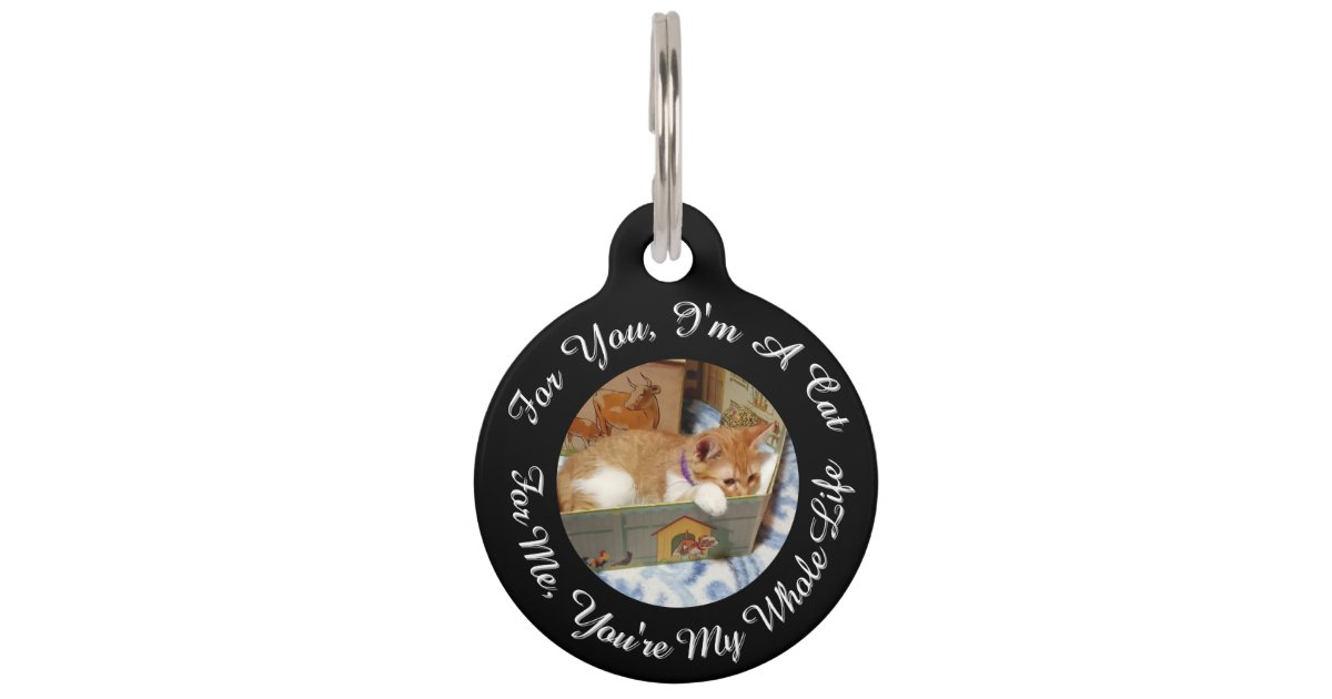 Front & Back Photo Cat, Name, Text, replaceable, Pet ID Tag | Zazzle