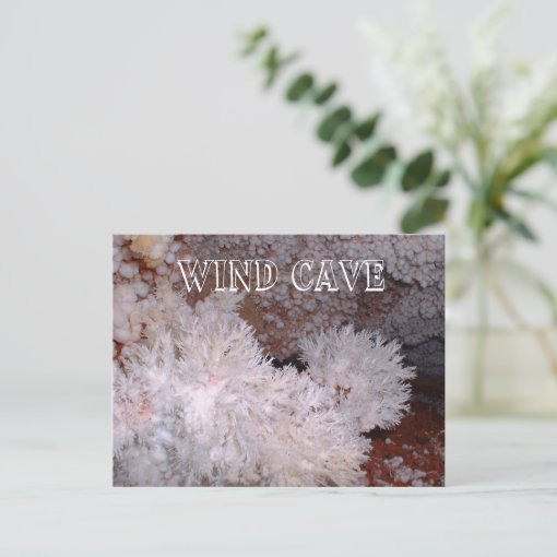 Frostwork and Popcorn Formations, Wind Cave, SD Postcard | Zazzle