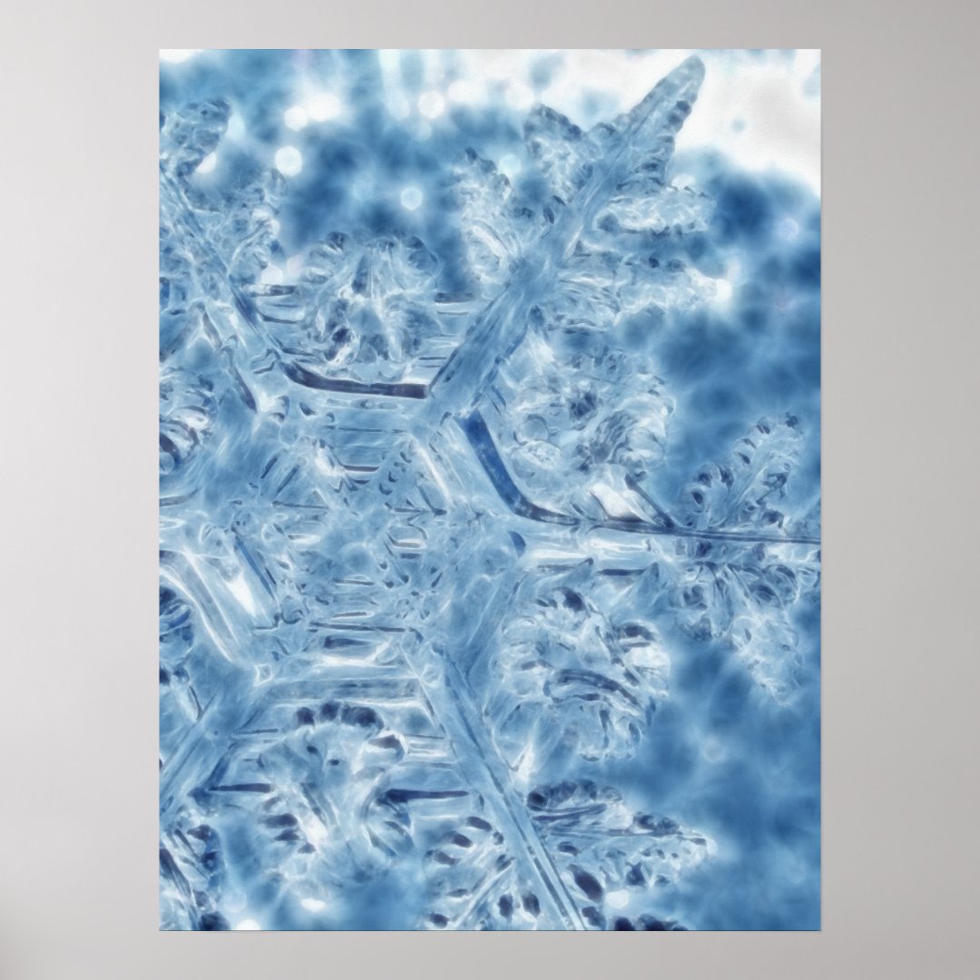 Frozen Ice Crystal Fractal Snowflake Poster | Zazzle