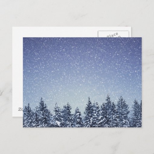 Frozen Snow Winter Forest Scene Postcard | Zazzle