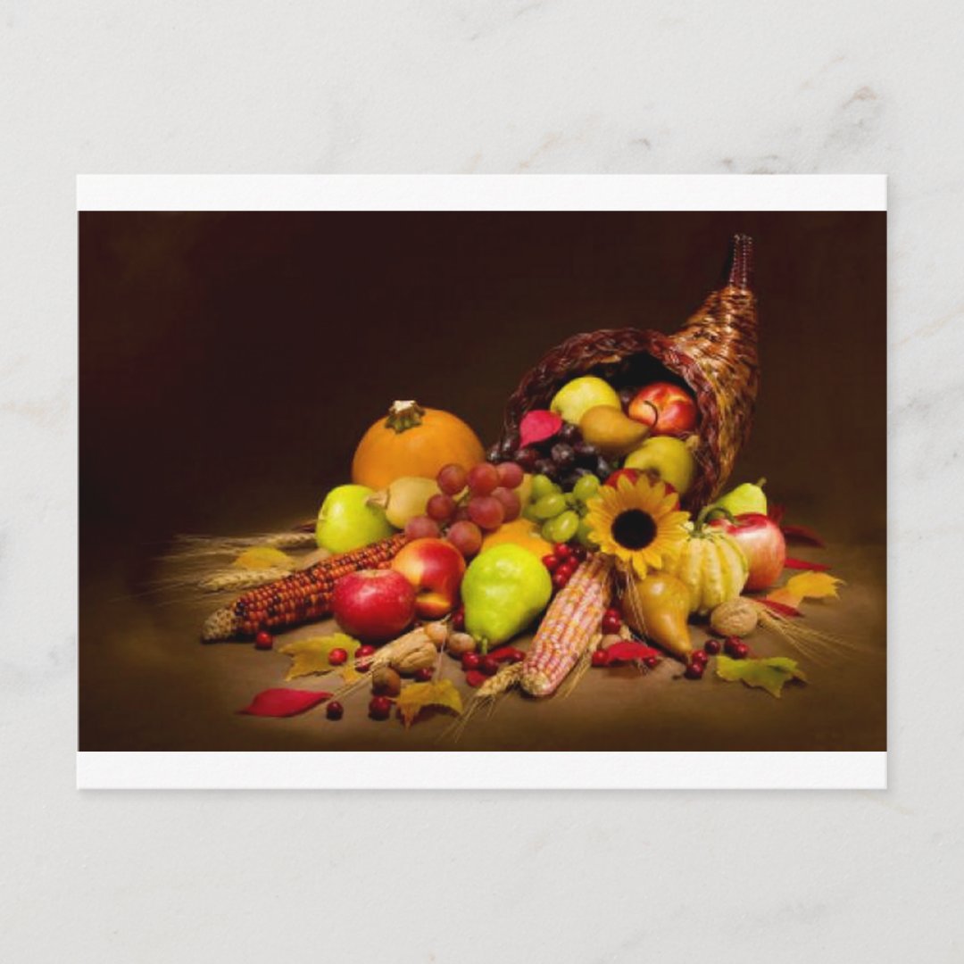 fruit and gourd cornucopia postcard | Zazzle