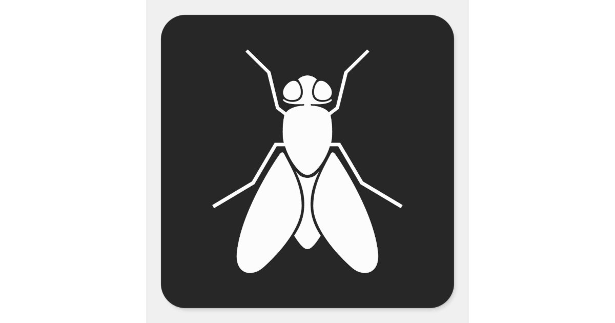 Fruit Fly Square Sticker | Zazzle