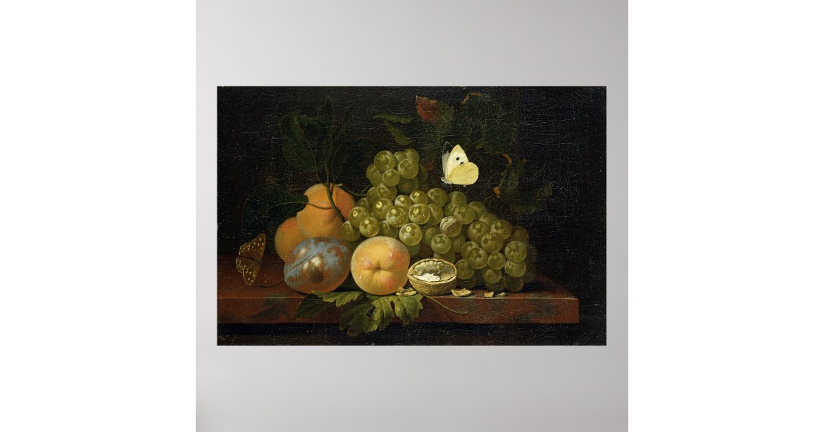 Fruit Study Poster | Zazzle
