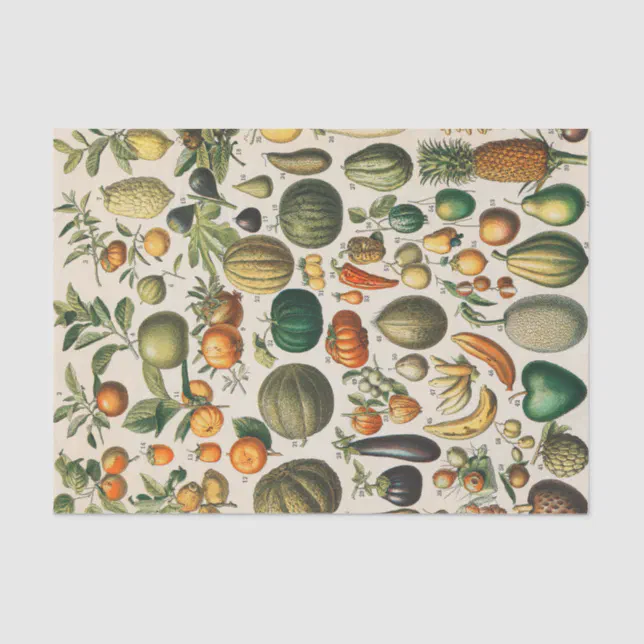 Fruit Vegetable Botanical Scientific Illustration Tissue Paper | Zazzle