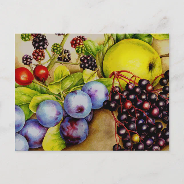 Fruits from the Hedgerow fruity fine art postcard | Zazzle