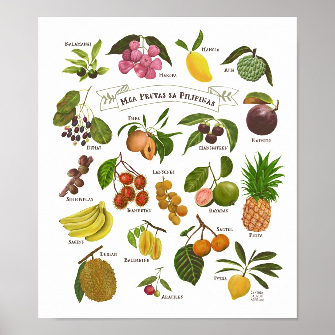 Fruits in the Philippines Poster | Zazzle