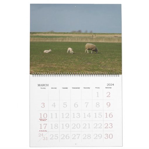 Fryslan/ Friesland Calendar | Zazzle