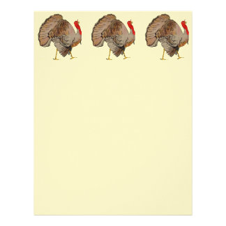 Thanksgiving Letterhead | Zazzle