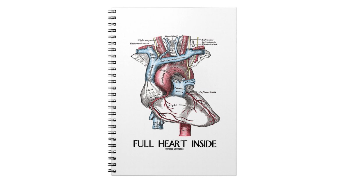 Full Heart Inside Anatomical Illustration Notebook | Zazzle