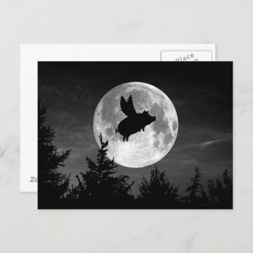 full moon flying pig postcard | Zazzle