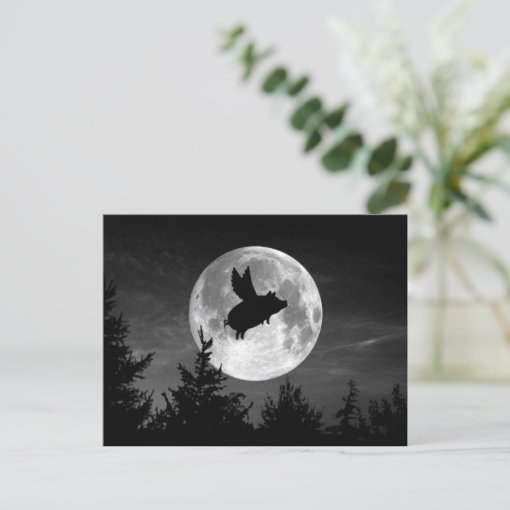 full moon flying pig postcard | Zazzle