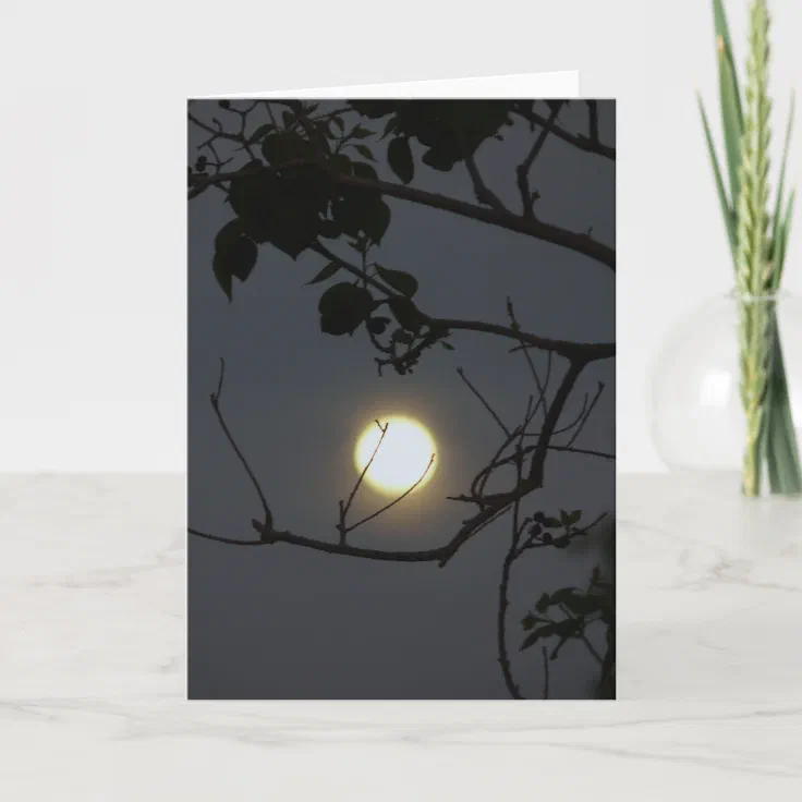 Full Moon Love Card | Zazzle