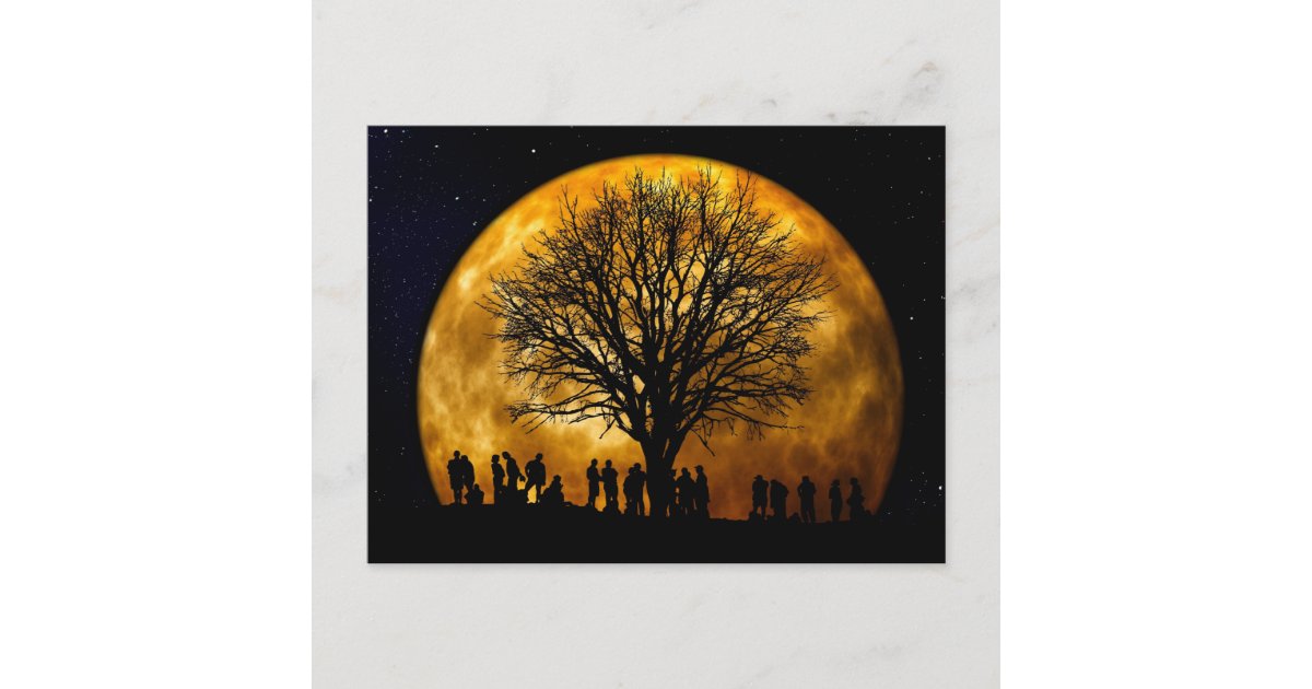 Full Moon Midnight Postcard | Zazzle.com