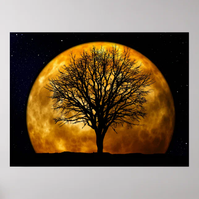 Full Moon Midnight Poster | Zazzle