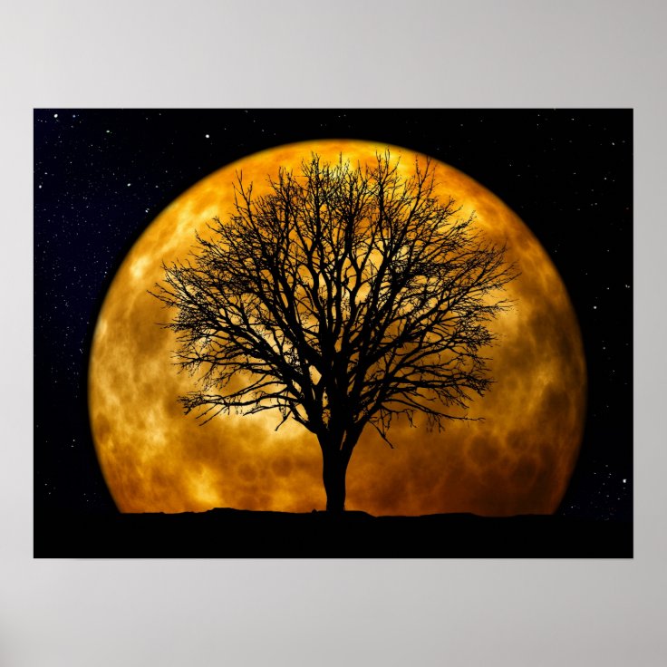 Full Moon Midnight Poster | Zazzle