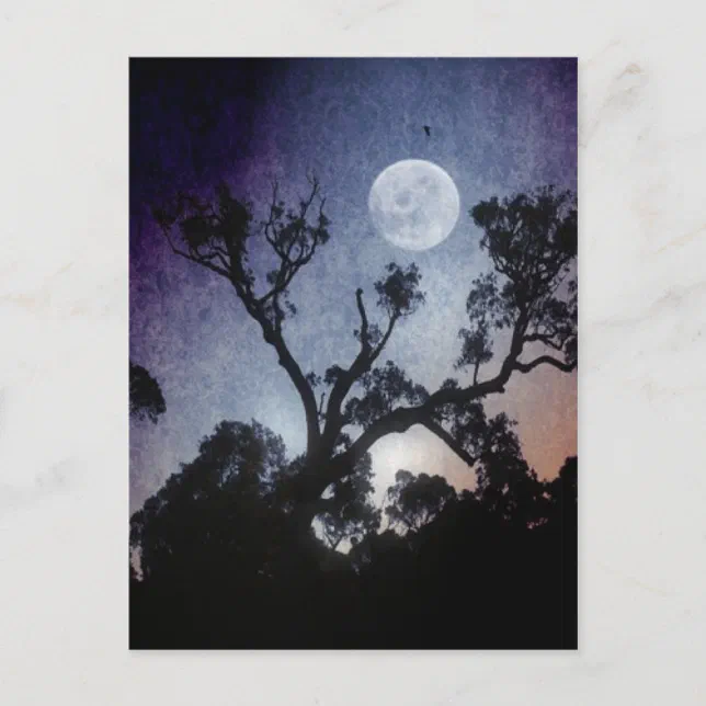 Full Moon Postcard | Zazzle