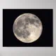 Full Moon Poster | Zazzle
