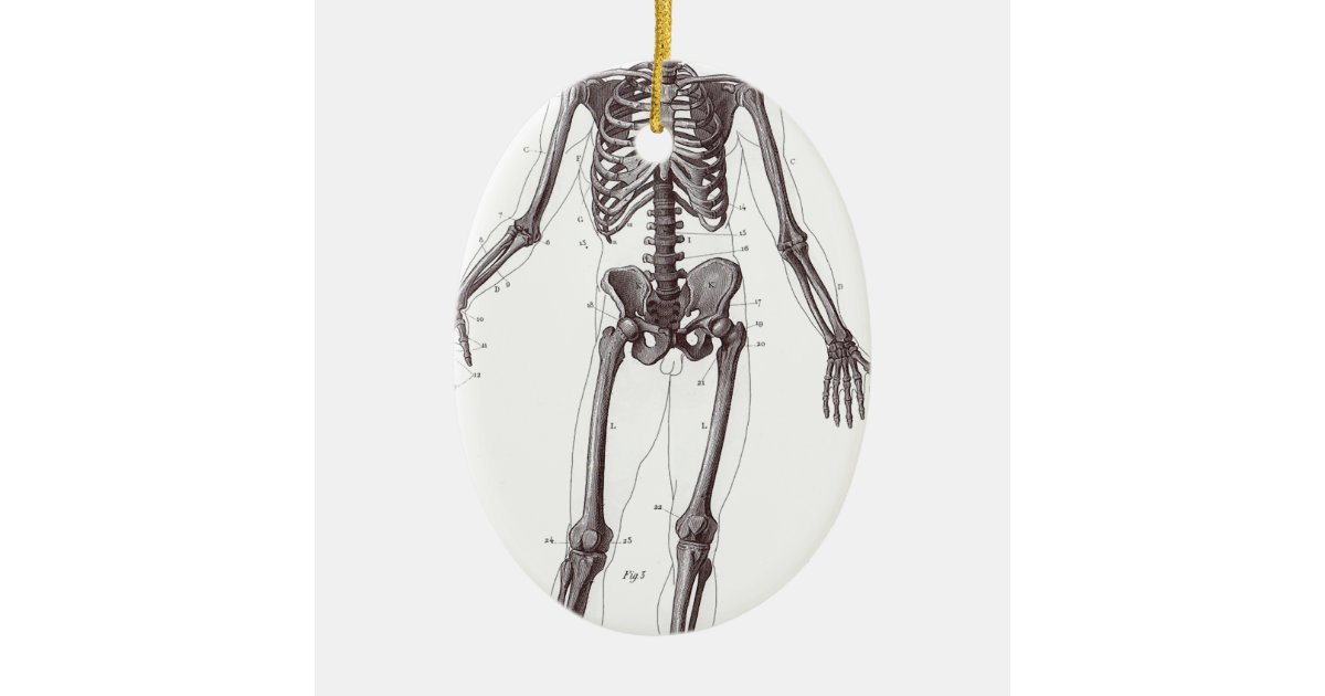 Full Skeleton Ceramic Ornament | Zazzle