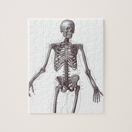 Full Skeleton Jigsaw Puzzle | Zazzle.com
