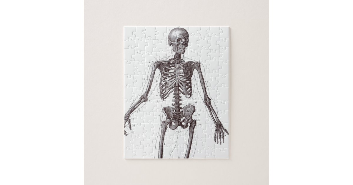 Full Skeleton Jigsaw Puzzle | Zazzle