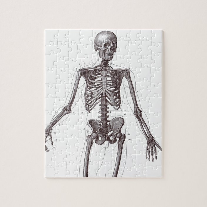 Full Skeleton Jigsaw Puzzle | Zazzle.com