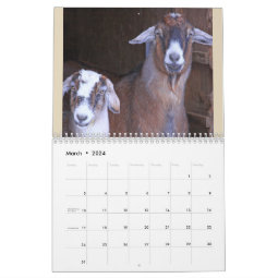 Fun And Friendly Goat Calendar | Zazzle