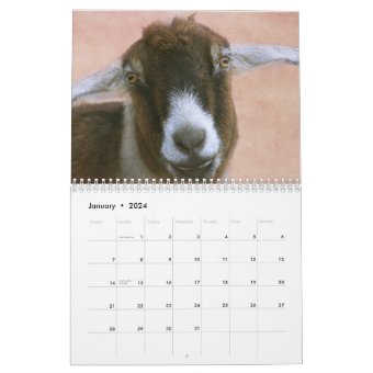 Fun And Friendly Goat Calendar | Zazzle
