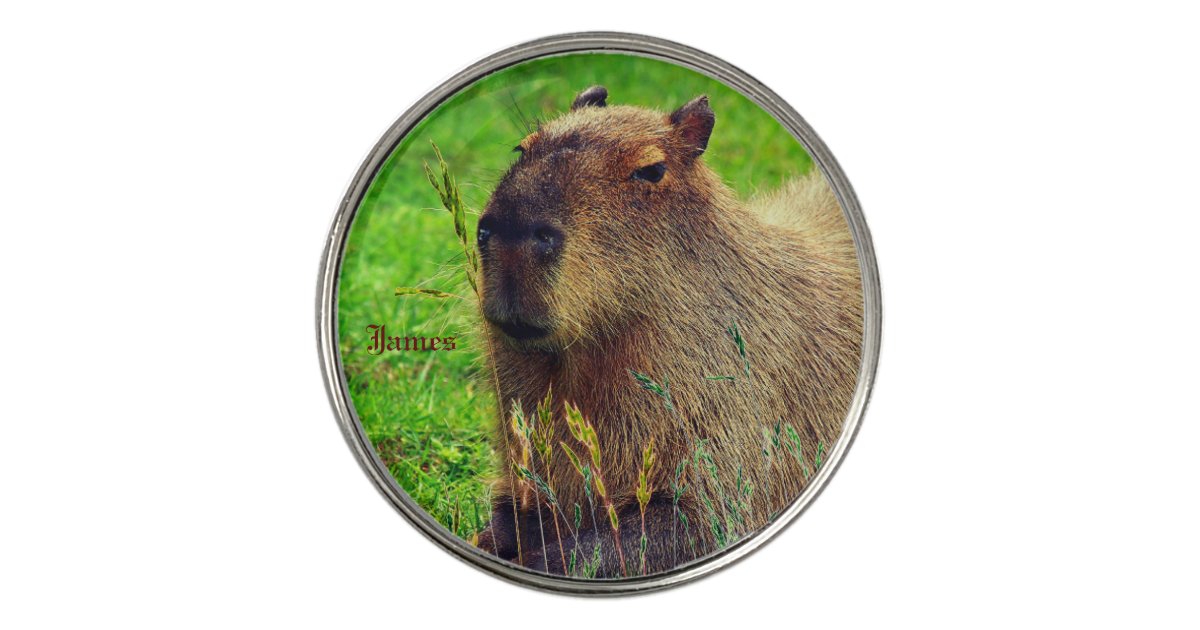 Fun Animal Capybara Golf Ball Marker | Zazzle