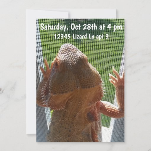 Fun Bearded Dragon Birthday Party Invitation | Zazzle