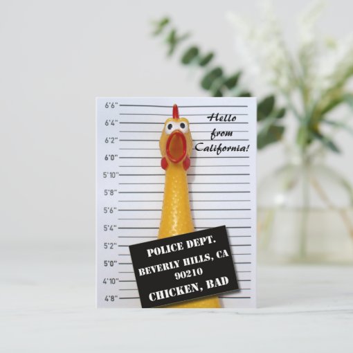 Fun Chicken Beverly Hills Mugshot Postcard! Postcard | Zazzle