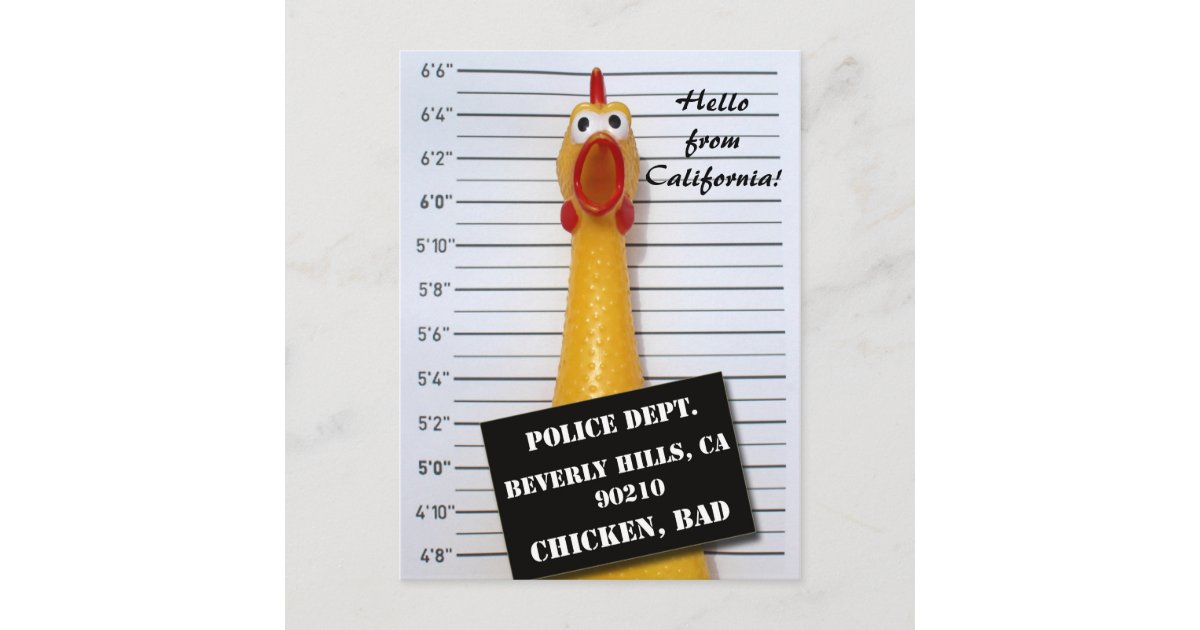 Fun Chicken Beverly Hills Mugshot Postcard! Postcard | Zazzle