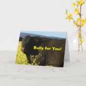 Fun Congratulations Ranch Farm Cattle Bulls Card | Zazzle