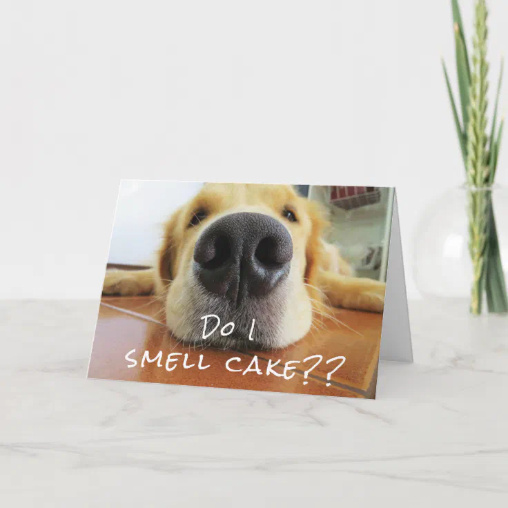 Fun Cute Dog Big Nose Happy Birthday Card | Zazzle