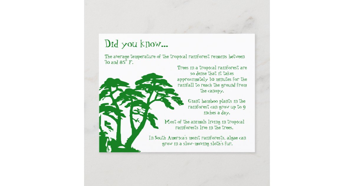 Fun Facts About the Rainforest Postcard | Zazzle