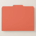 Fun Fox And Flower Pattern Personalized File Folder | Zazzle