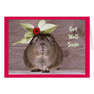 Get Well Pig Cards | Zazzle