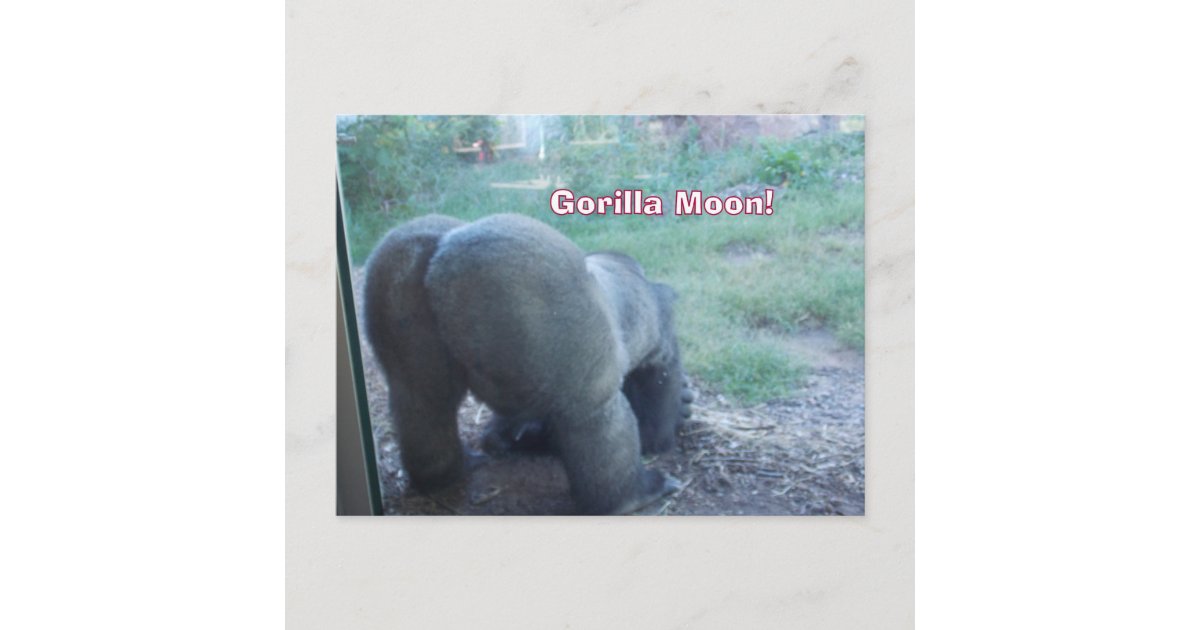 Fun Gorilla Moon Postcard | Zazzle