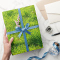 Fun Green Grass Print Wrapping Paper | Zazzle