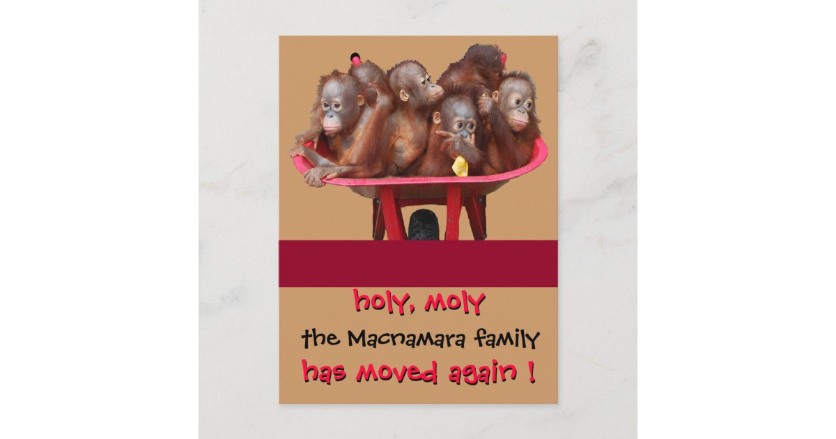 Fun Moving New Address Announcement | Zazzle