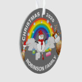 Fun Personalized 2020 Covid Christmas Tree Ornament | Zazzle