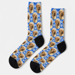 Fun Pet Photo Paw Prints Custom Blue Pattern Dog Socks | Zazzle