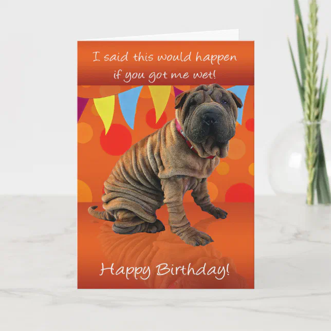 Fun Shar Pei Birthday Card With Birthday Humor | Zazzle