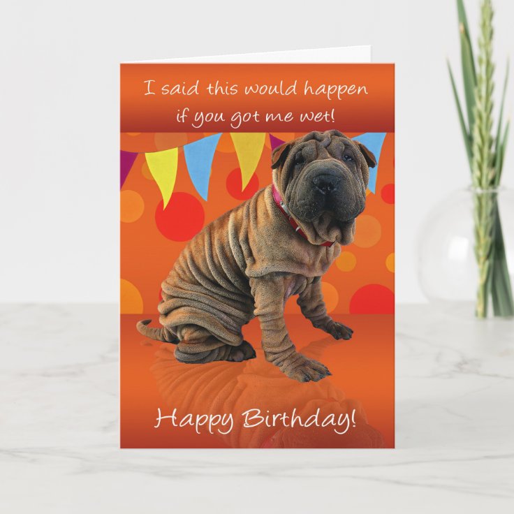 Fun Shar Pei Birthday Card With Birthday Humor | Zazzle