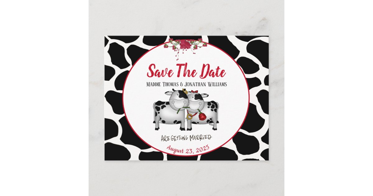 Fun Wedding Cows Save the Date Postcard | Zazzle