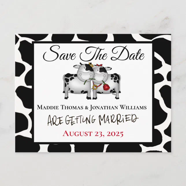 Fun Wedding Cows Save the Date Postcard | Zazzle