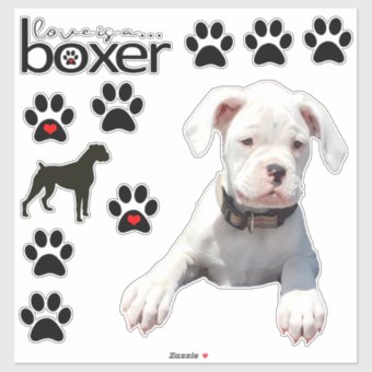 Fun White Boxer Dog Car Stickers | Zazzle