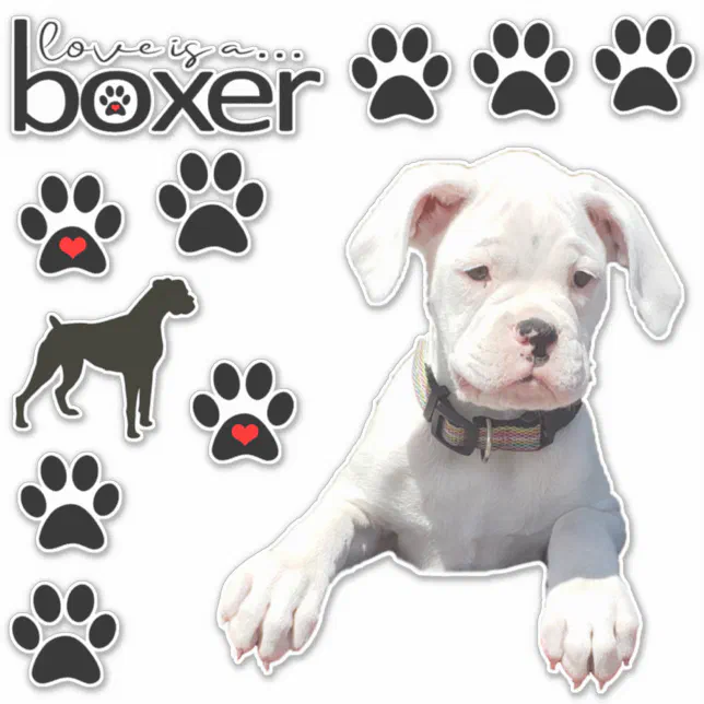 Fun White Boxer Dog Car Stickers | Zazzle