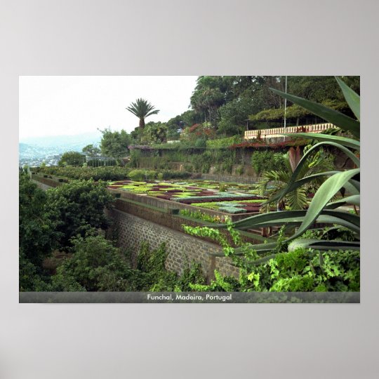 Funchal, Madeira, Portugal Poster | Zazzle.com